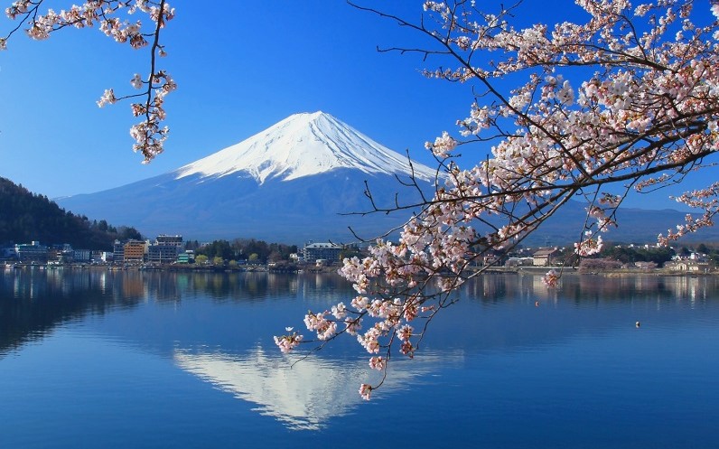 Another Japanese Town to Erect Fence Around Scenic Bridge to Block ...