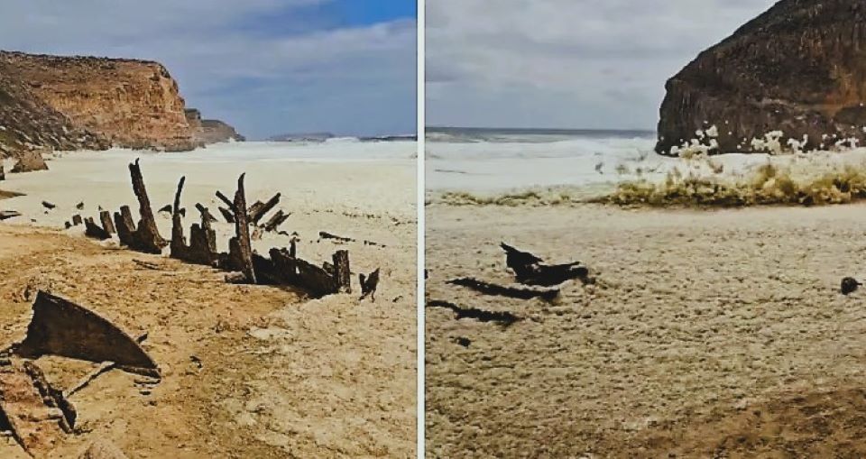 South Australia Steps Up Coastal Surveillance as Toxic Algal Bloom ...